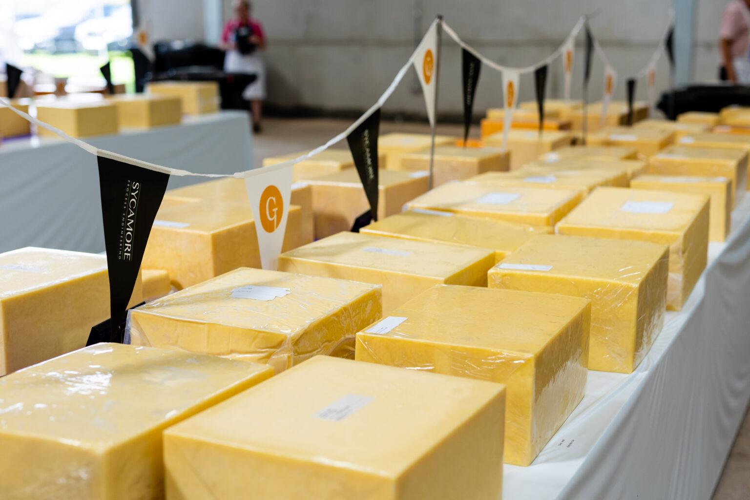 What’s On – Frome Agricultural and Cheese Show