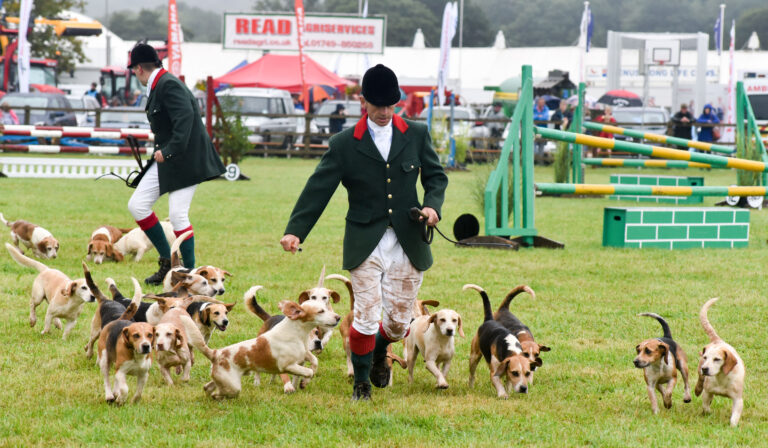 What’s On – Frome Agricultural and Cheese Show